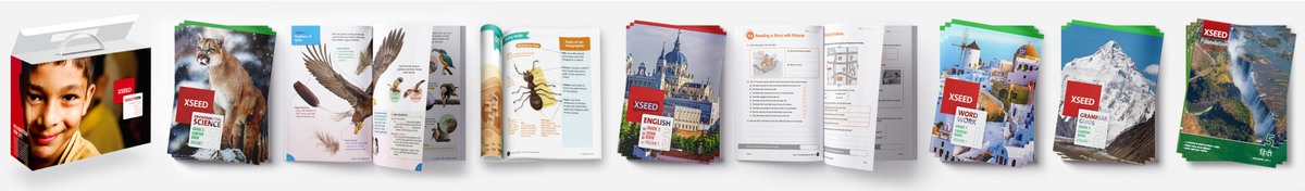 SuperTeacher with Hindi Book Pack – XSEED EDUCATION (INDIA)